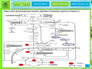 Glukoneogenesis, Glikogenesis, Glikogenolisis dan Diabetes Melitus | PPTX
