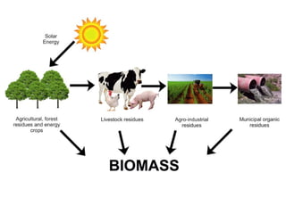 BIOMASS APPLICATION FOR USE AS FOOD HYDROCOLLOIDS | PPTX