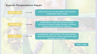 Ppt materi 1 3 p. hayati-anisa septiani bumulo | PPTX