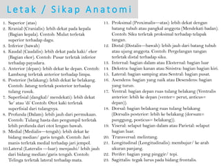 PPT Layanan Kesehatan MATERI_ANATOMI_FISOLOGI.pptx