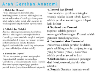 PPT Layanan Kesehatan MATERI_ANATOMI_FISOLOGI.pptx