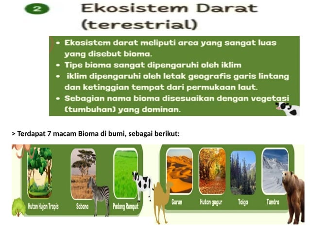PPT Materi Bab 1 Keanekaragaman Hayati (A. Tingkat keanekaragaman hayati; B. Tipe Ekosistem) Kls ...
