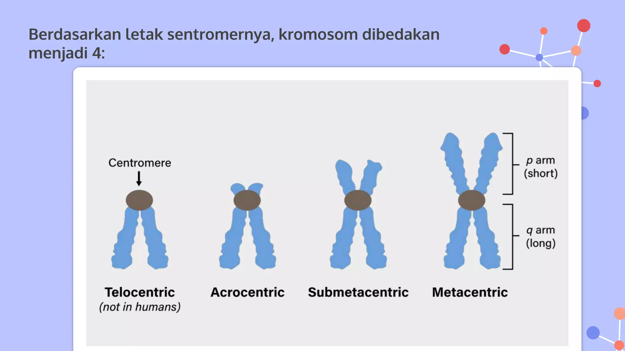 PPT Materi Genetik.pptx