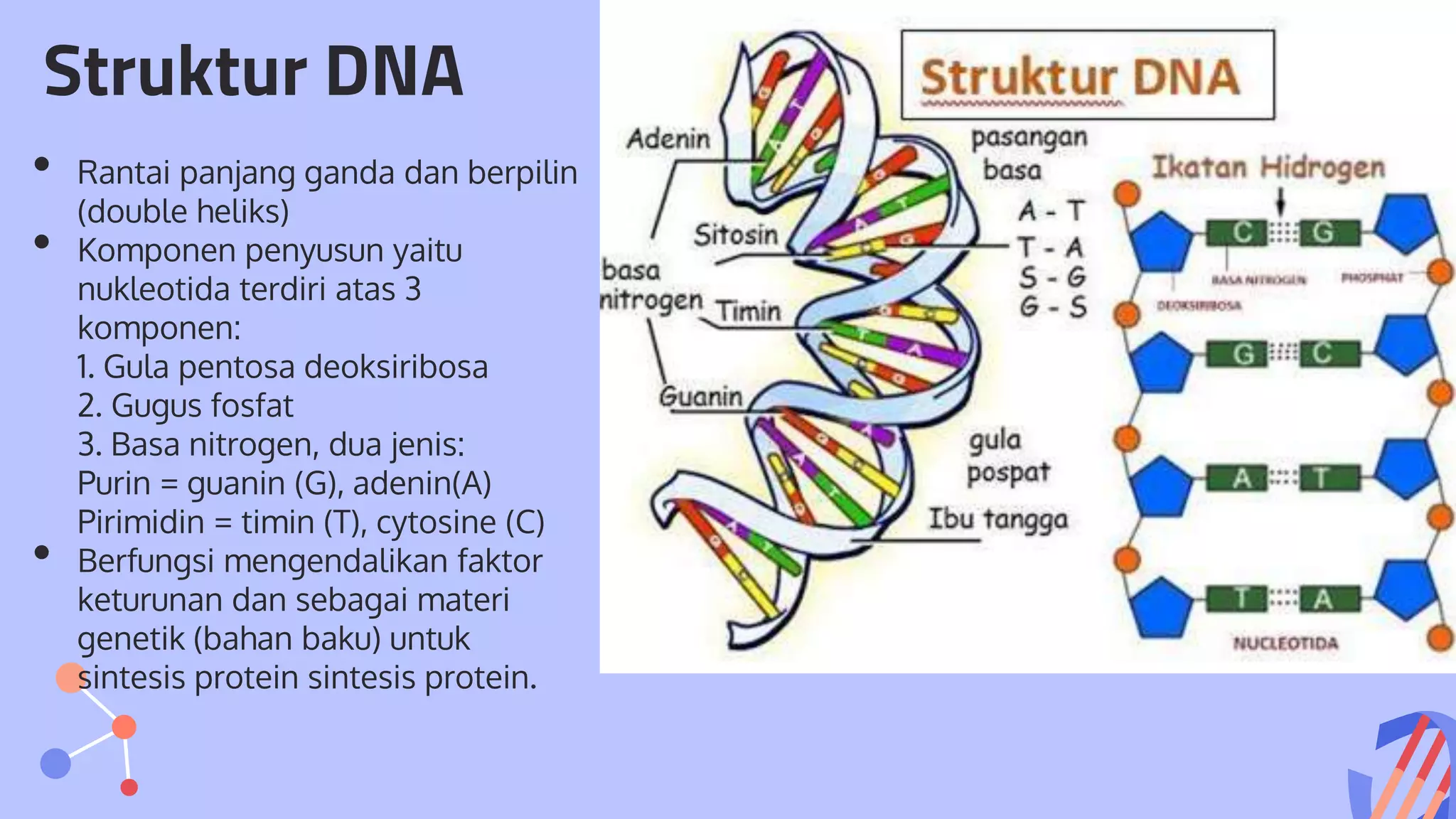 PPT Materi Genetik.pptx