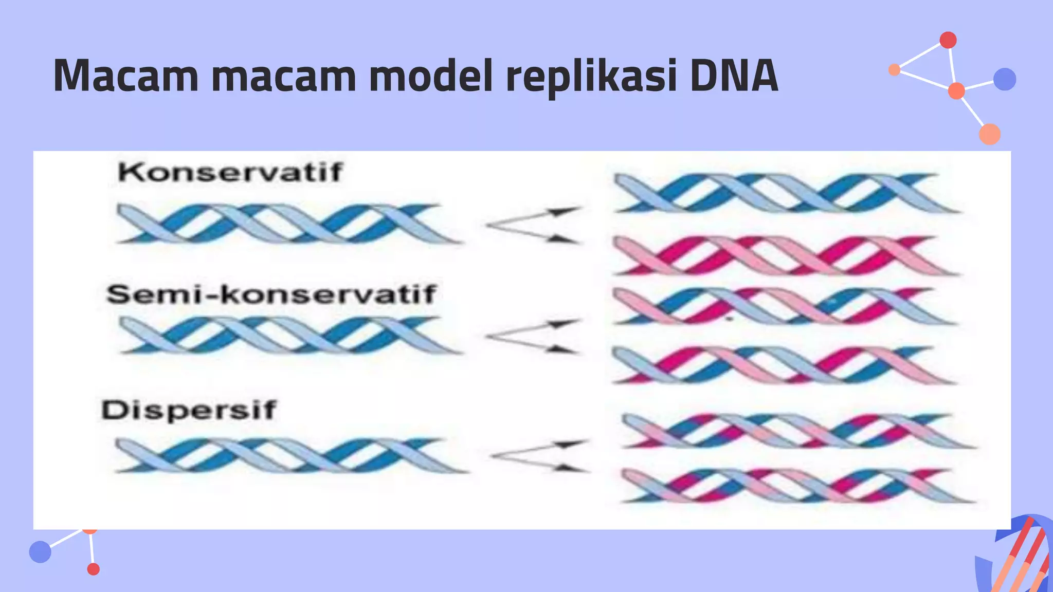 PPT Materi Genetik.pptx