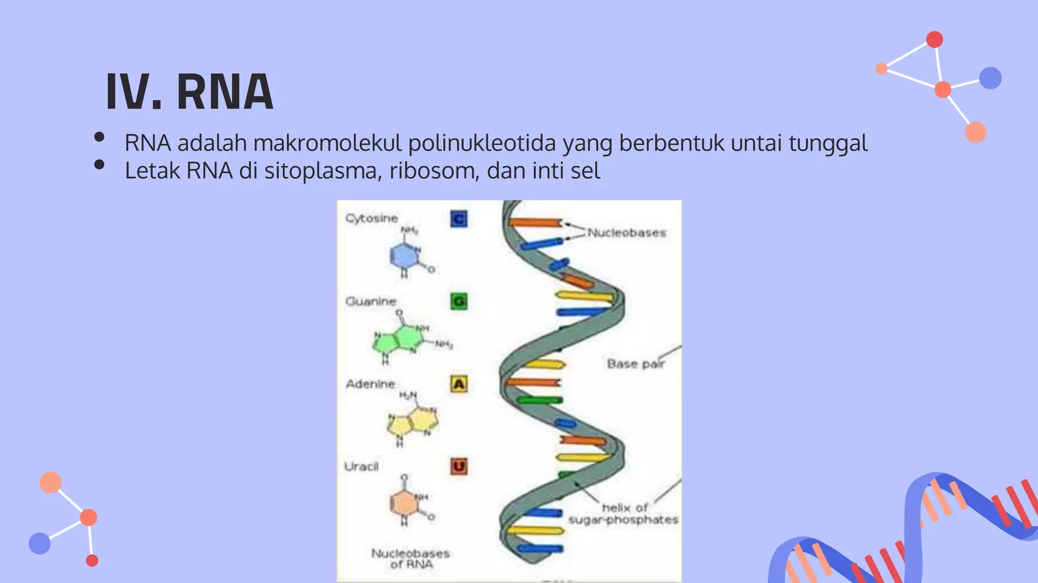 PPT Materi Genetik.pptx