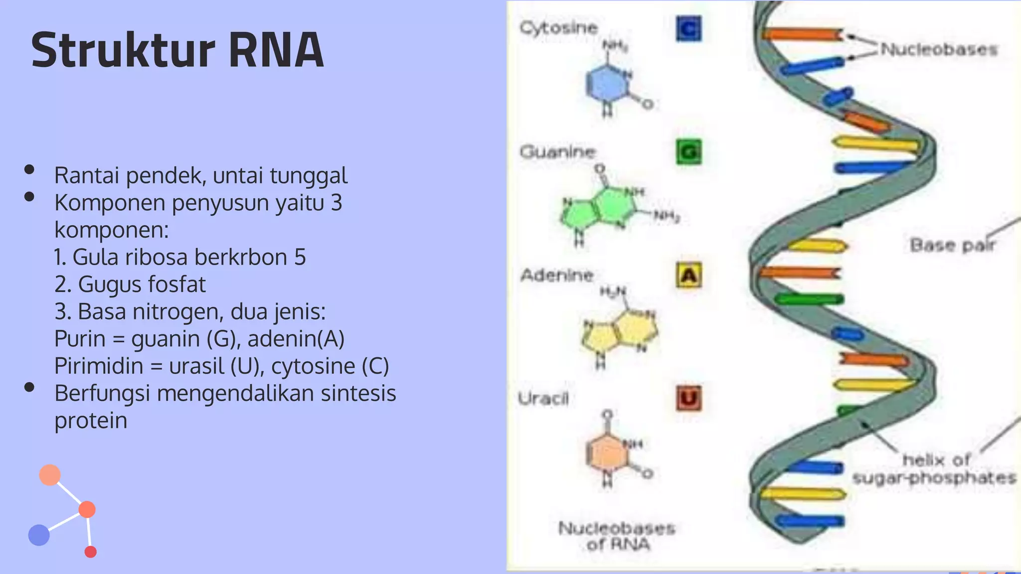 PPT Materi Genetik.pptx