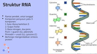 PPT Materi Genetik.pptx