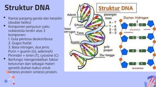 PPT Materi Genetik.pptx