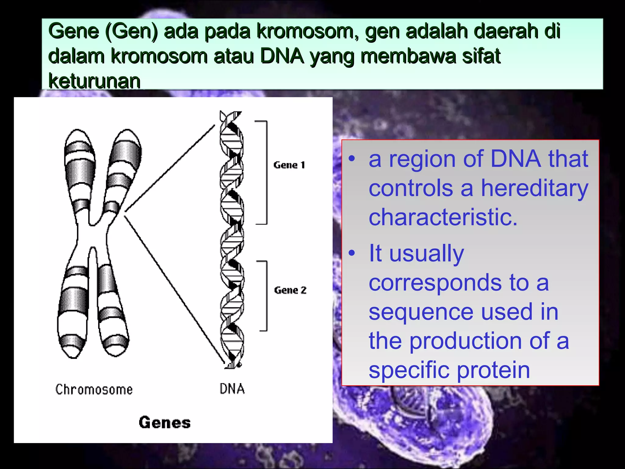 Ppt materi genetika | PPT