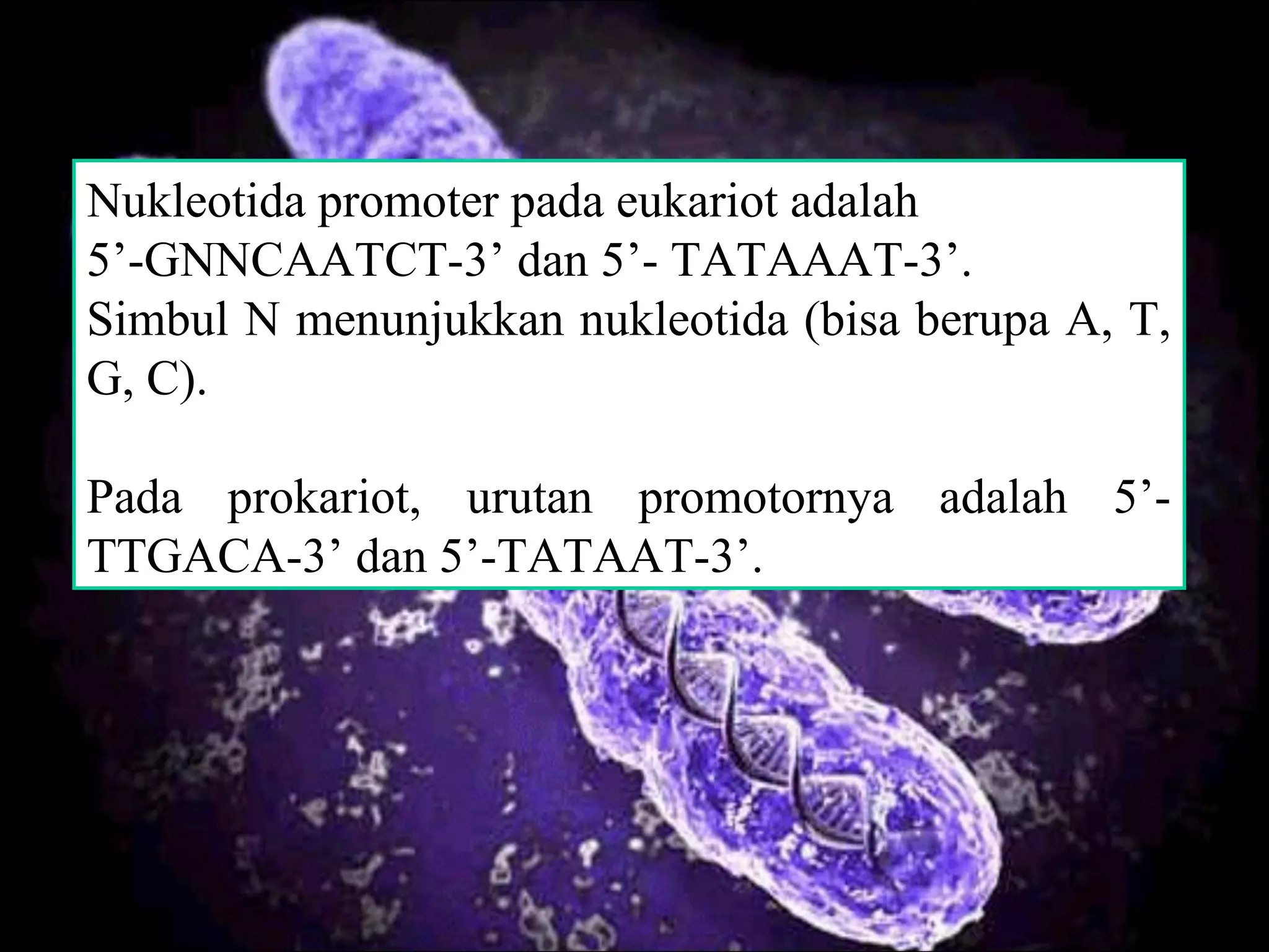 Ppt materi genetika | PPT