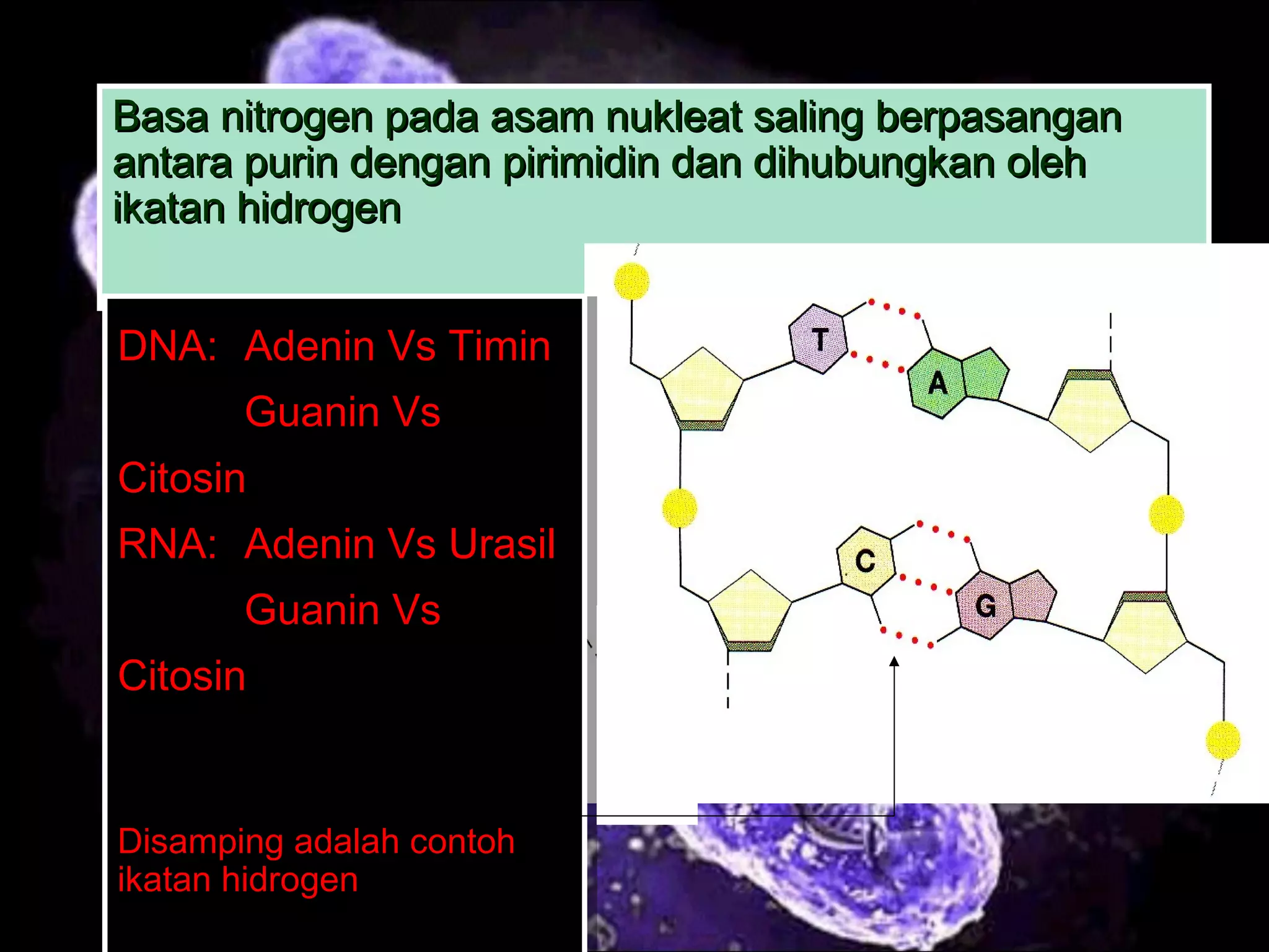 Ppt materi genetika | PPT