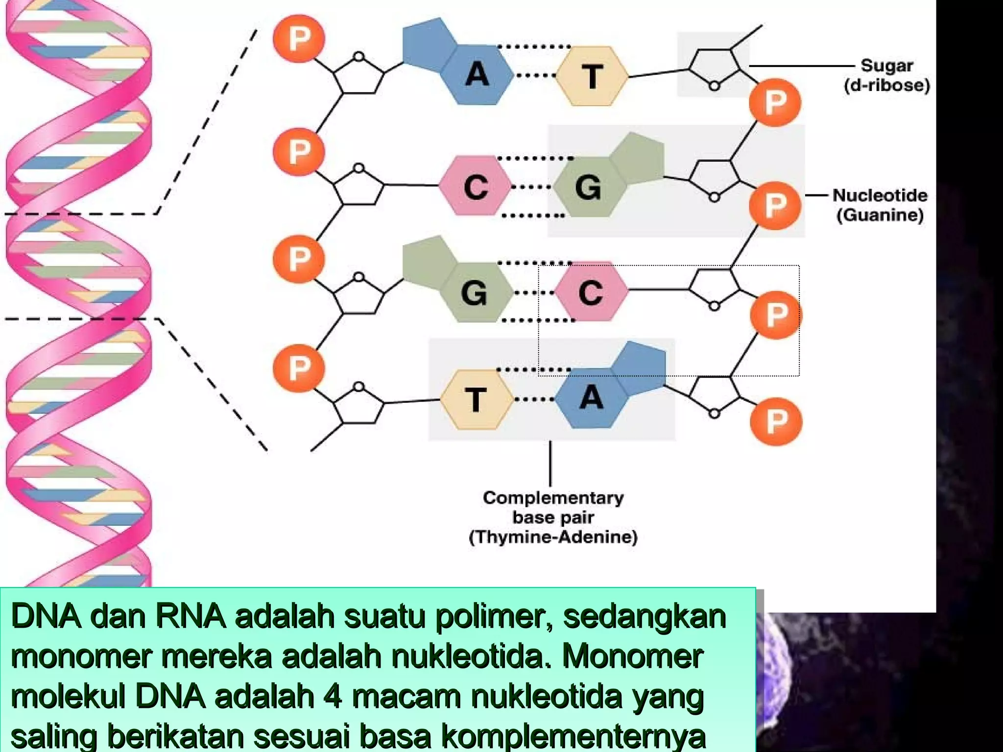 Ppt materi genetika | PPT