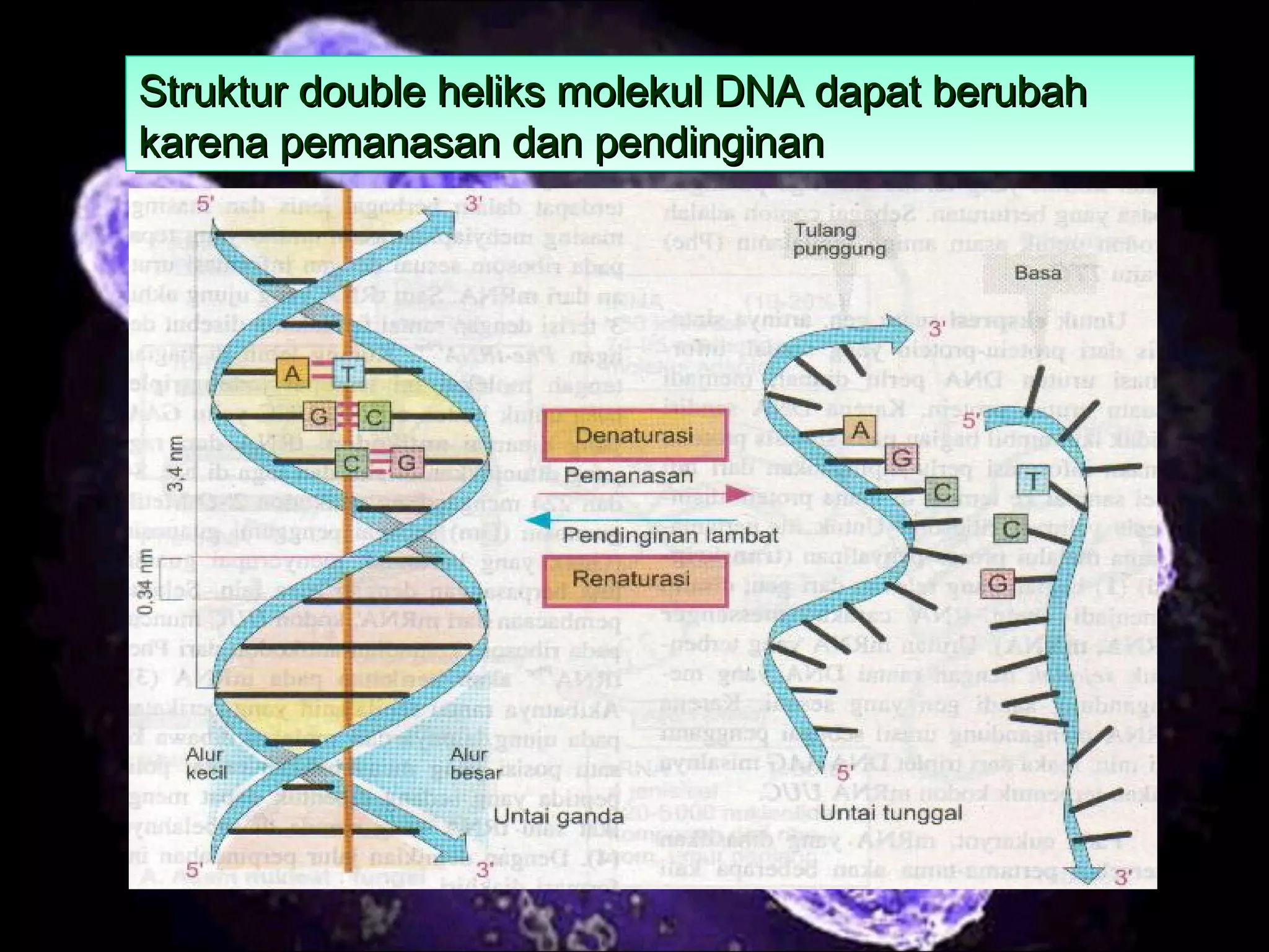 Ppt materi genetika | PPT