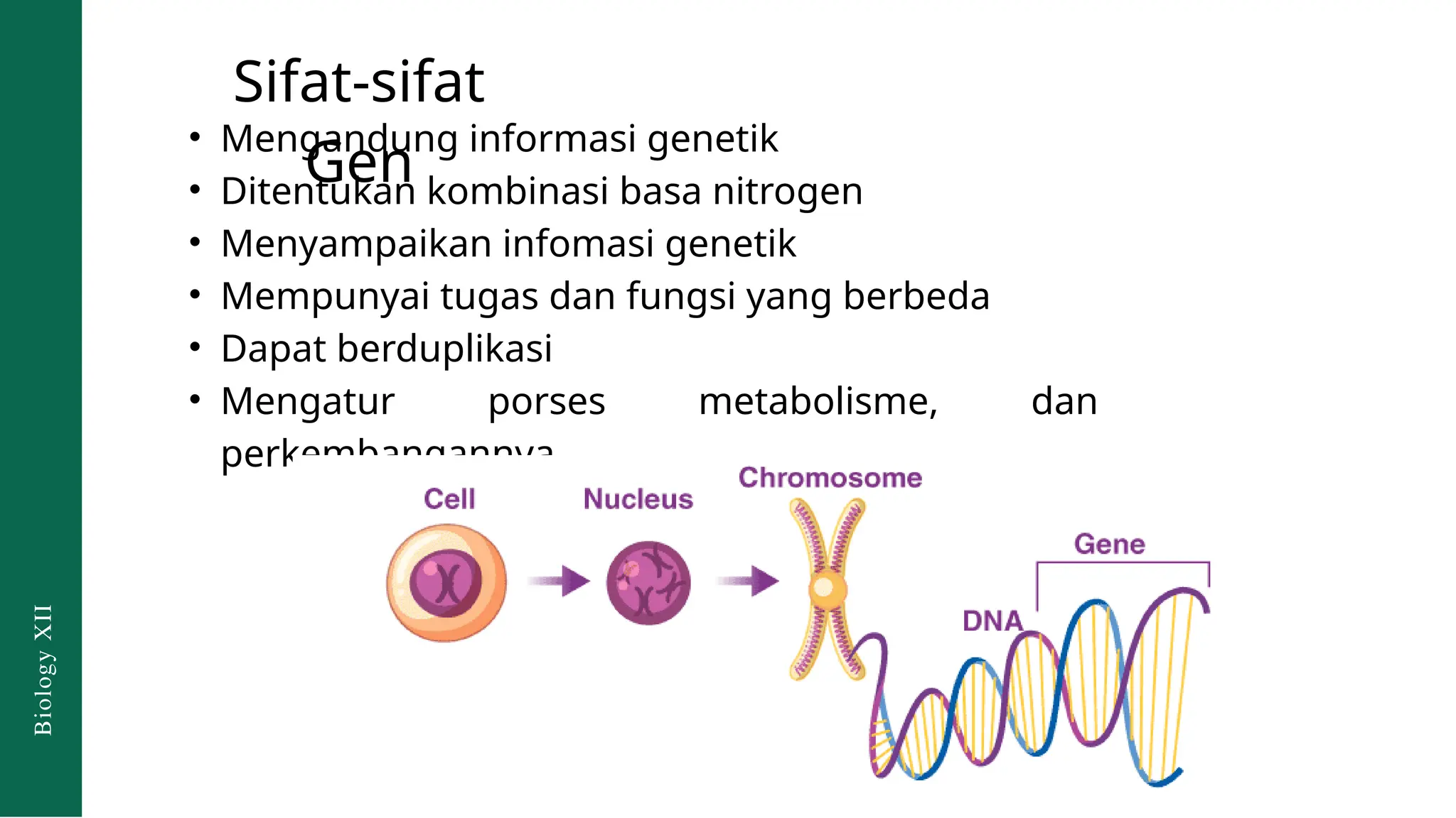 PPT_Materi_Genetik_Biologi_Kelas_XII_Fas.pptx