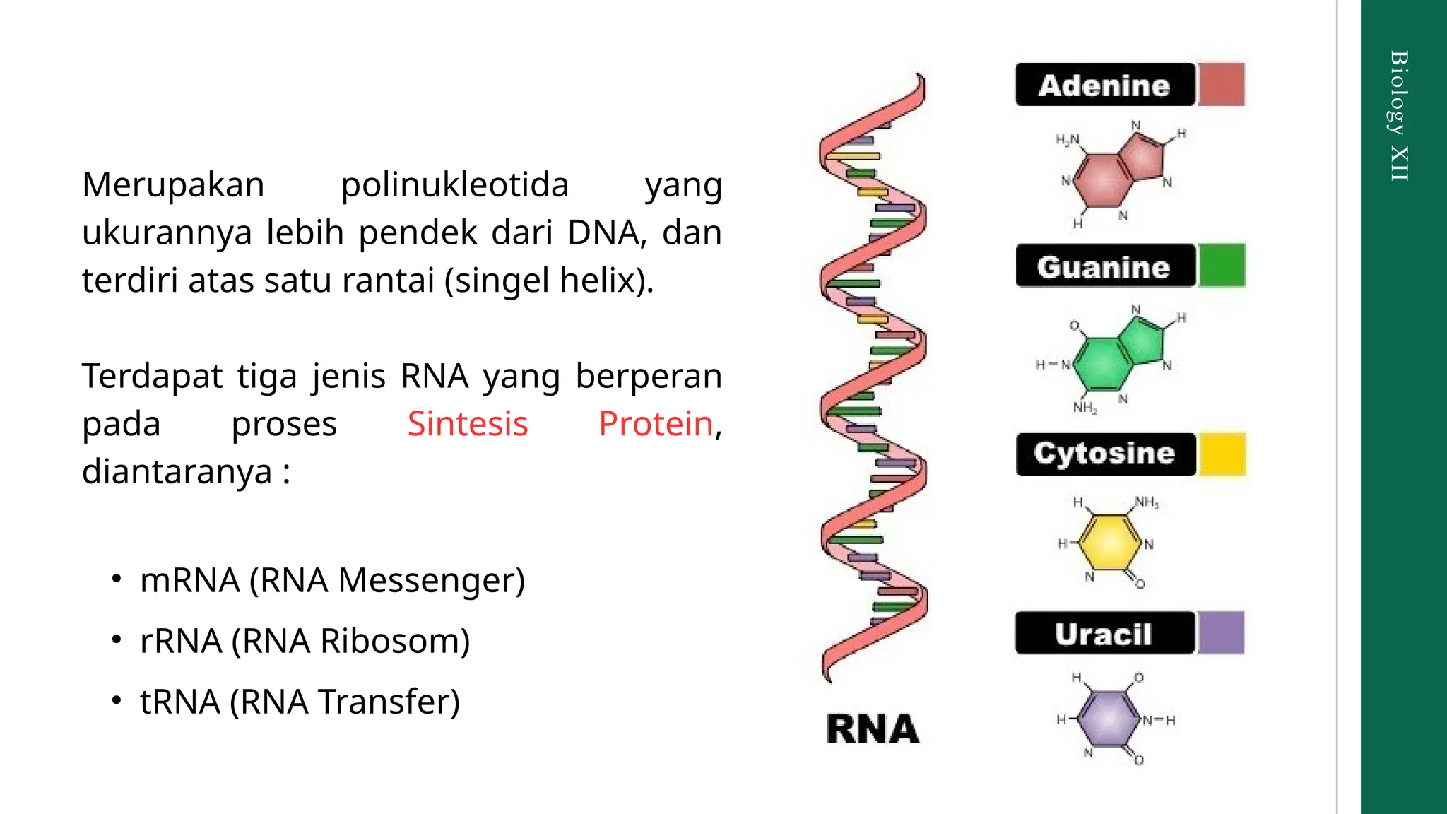 PPT_Materi_Genetik_Biologi_Kelas_XII_Fas.pptx