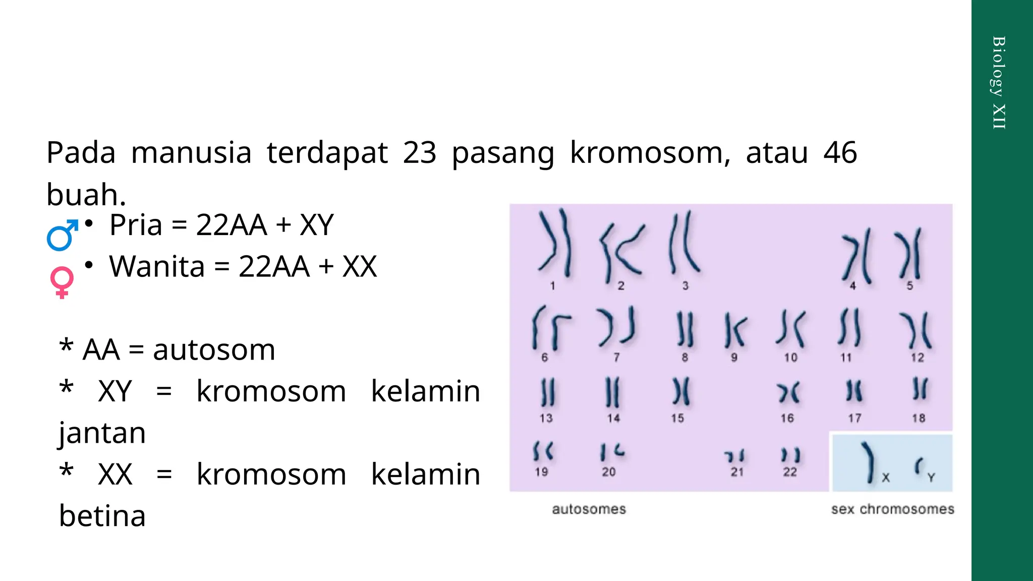 PPT_Materi_Genetik_Biologi_Kelas_XII_Fas.pptx