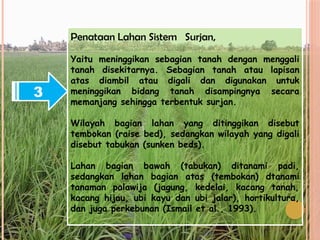 PPT SEMINAR HASIL BUDIDAYA PADI IP200 MELALUI PENATAAN LAHAN DAN ...