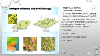 PPT materi struktur sel dan jaringan tumbuhan dan jaringan hewan. | PPT