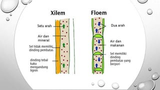PPT materi struktur sel dan jaringan tumbuhan dan jaringan hewan. | PPTX