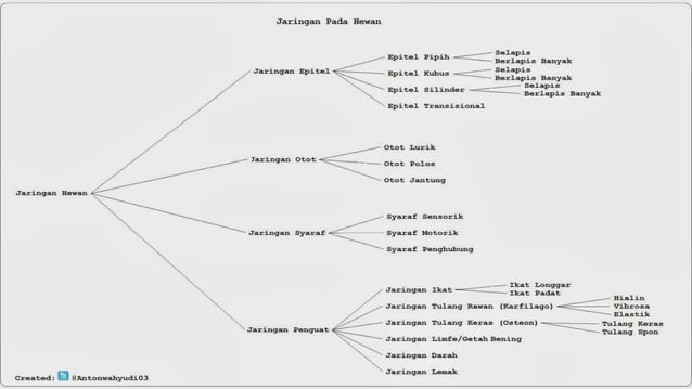 PPT materi struktur sel dan jaringan tumbuhan dan jaringan hewan. | PPTX