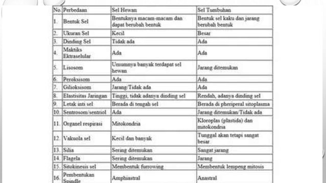 PPT materi struktur sel dan jaringan tumbuhan dan jaringan hewan. | PPTX
