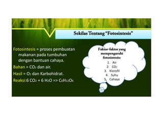 PPT Materi Struktur Jaringan Tumbuhan (Intan Maulida Ulfa).pdf