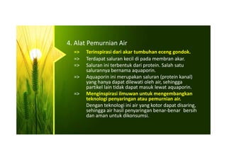 PPT Materi Struktur Jaringan Tumbuhan (Intan Maulida Ulfa).pdf
