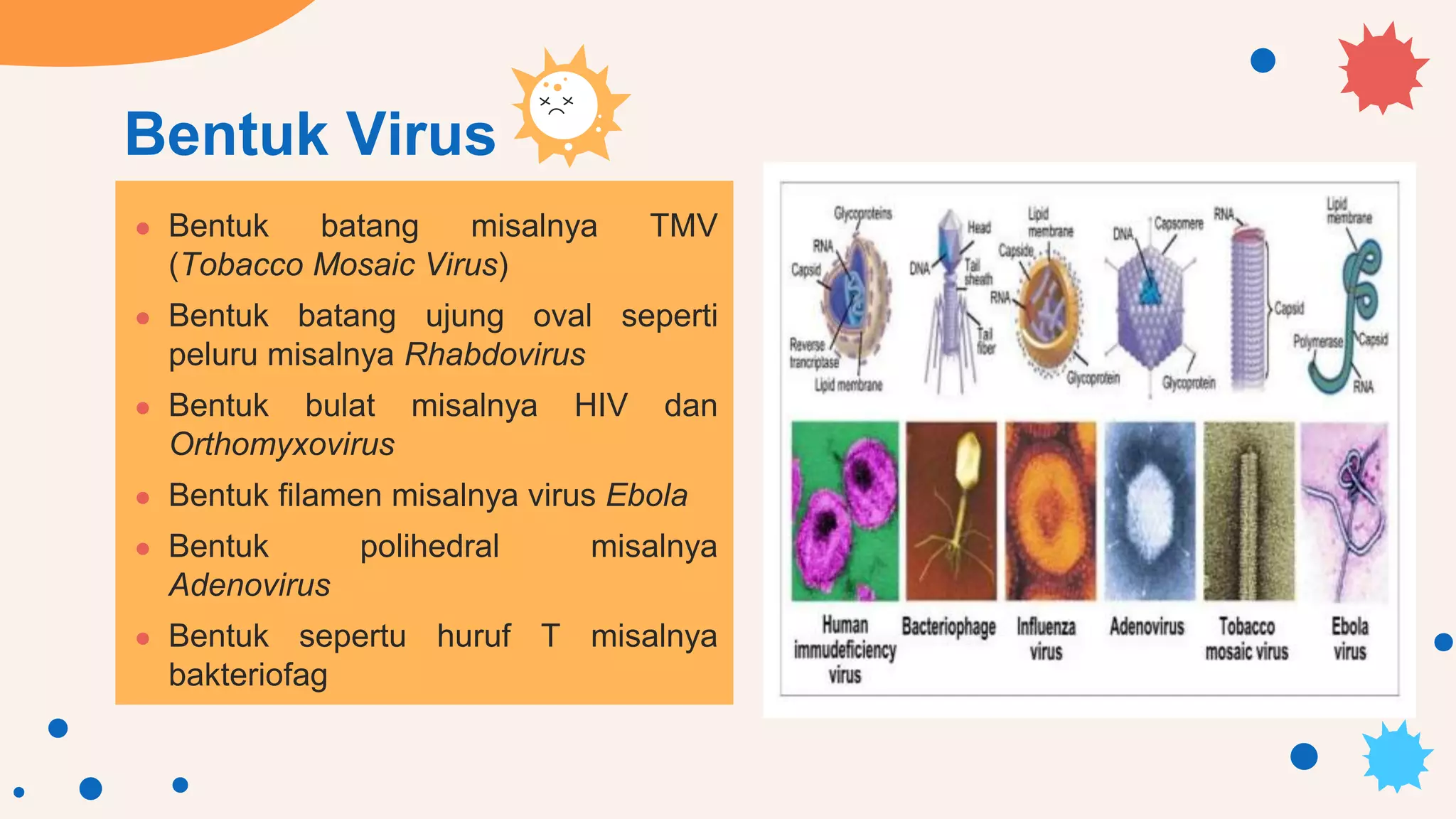 PPT MATERI VIRUS.pptx