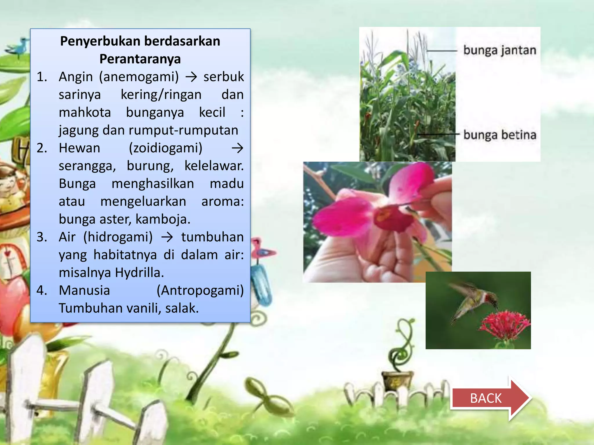 PPT Perkembangbiakan Tumbuhan dan Hewan.pptx