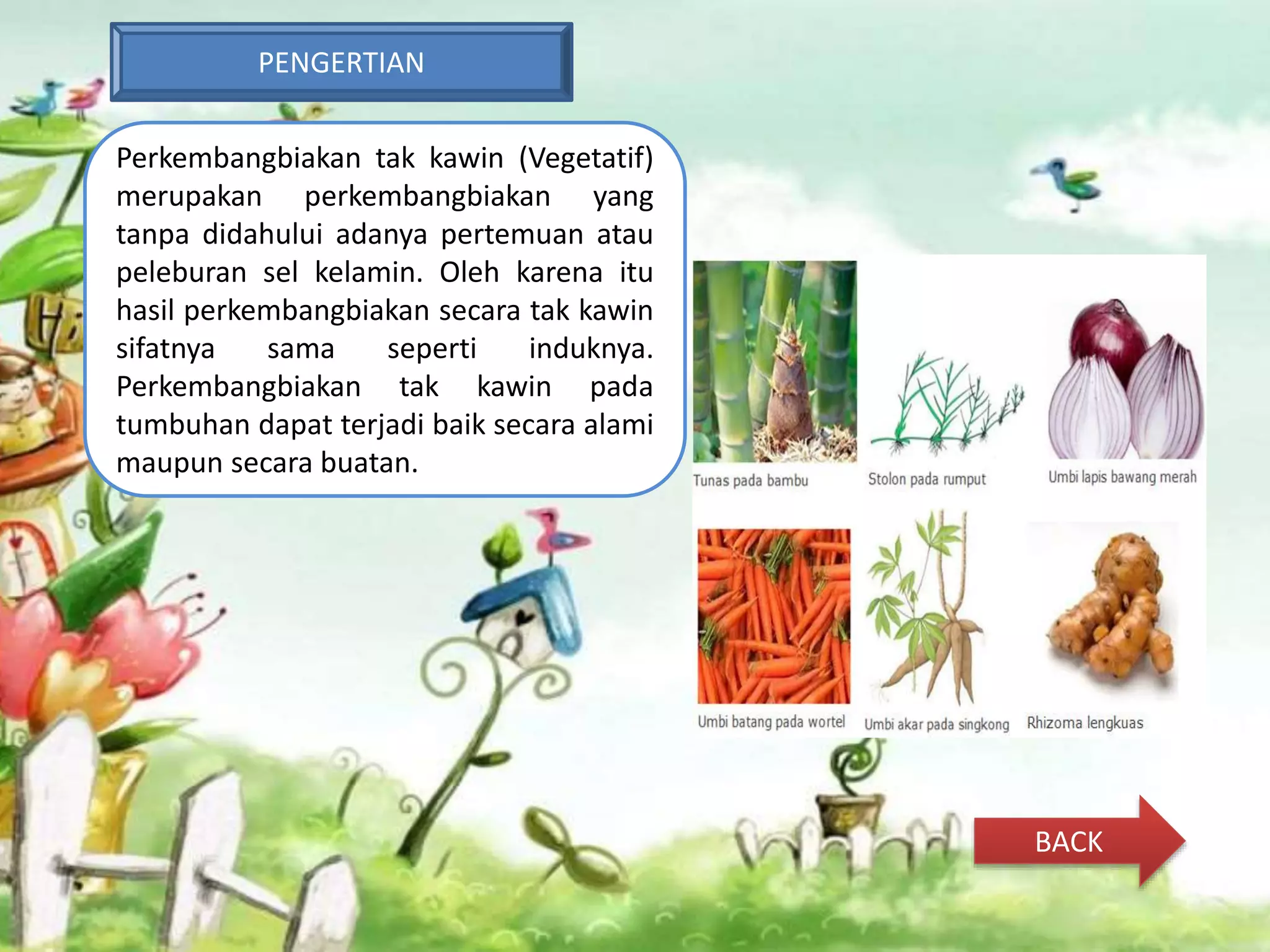 PPT Perkembangbiakan Tumbuhan dan Hewan.pptx