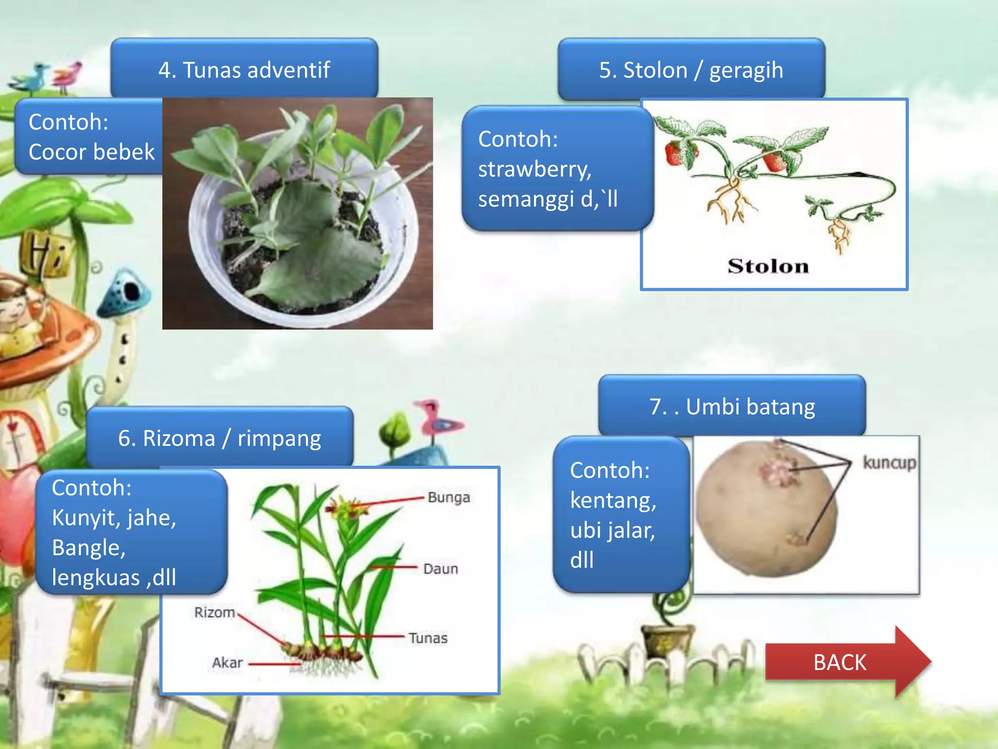 PPT Perkembangbiakan Tumbuhan dan Hewan.pptx