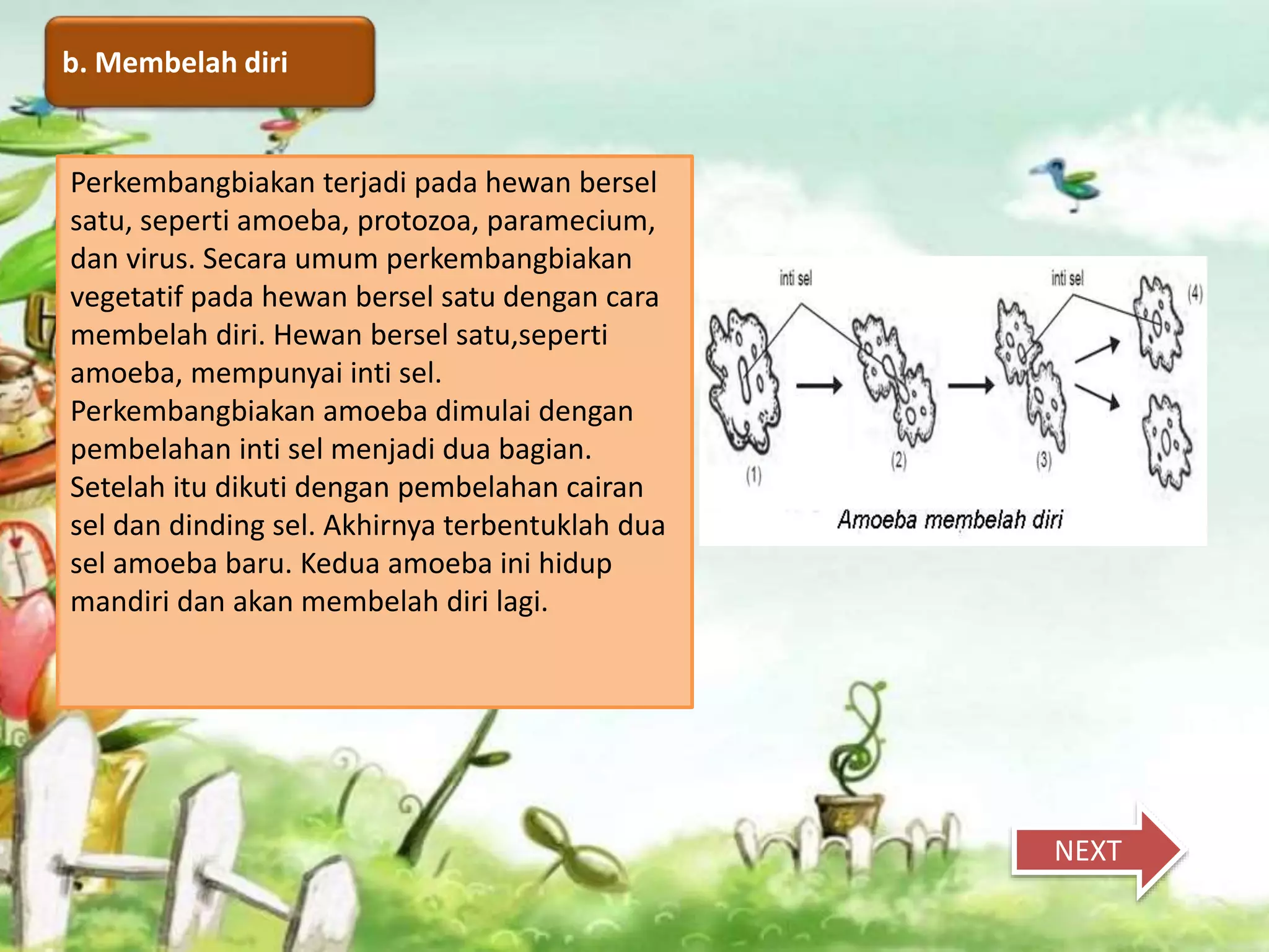 PPT Perkembangbiakan Tumbuhan dan Hewan.pptx