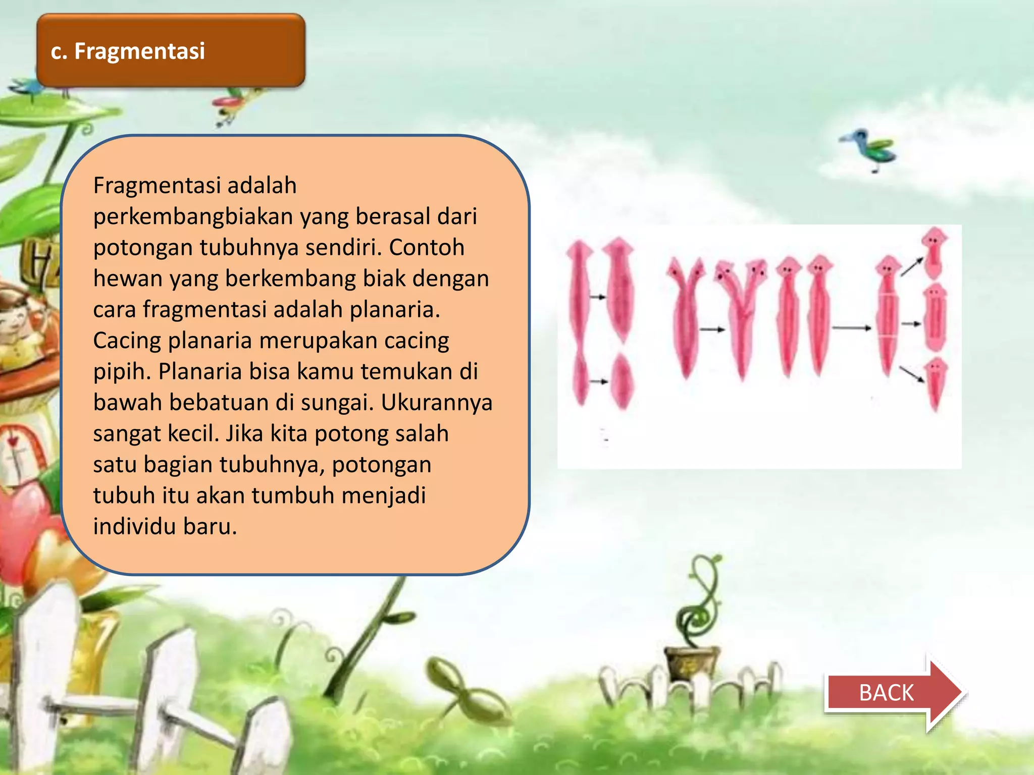 PPT Perkembangbiakan Tumbuhan dan Hewan.pptx