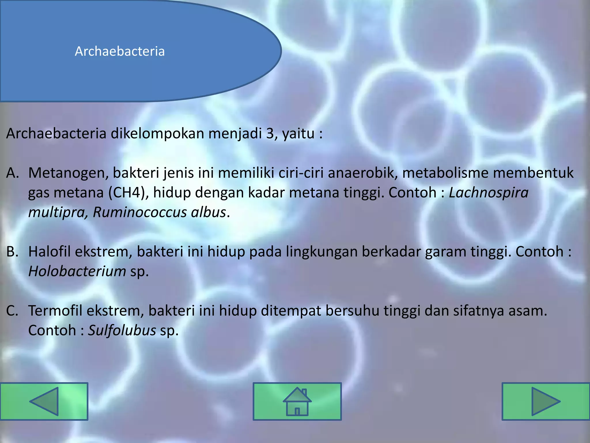 Ppt medtek archae dan eubacteria | PPT