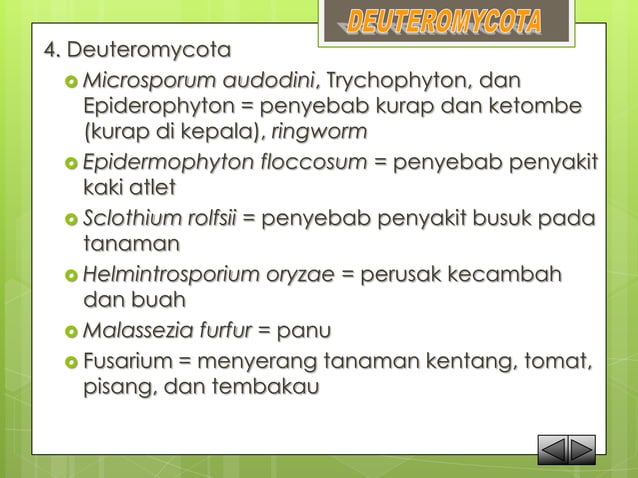 Ppt Interaktif PERANAN JAMUR | PPT