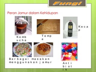 Ppt Interaktif PERANAN JAMUR | PPTX