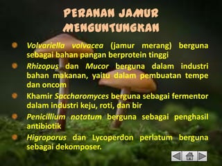 Ppt Interaktif PERANAN JAMUR | PPTX