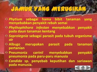Ppt Interaktif PERANAN JAMUR | PPTX