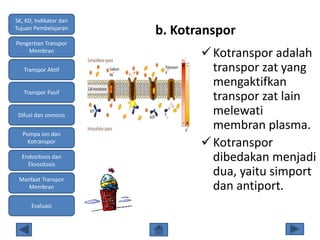 PPT Tanspor Membran | PPTX