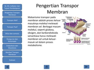 PPT Tanspor Membran | PPTX