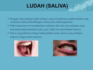 PPT MELUDAH SEMBARANGAN.pptx