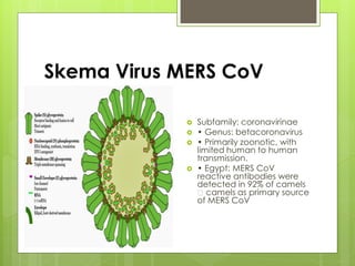 PPT MERS Tugas Immunologi | PDF