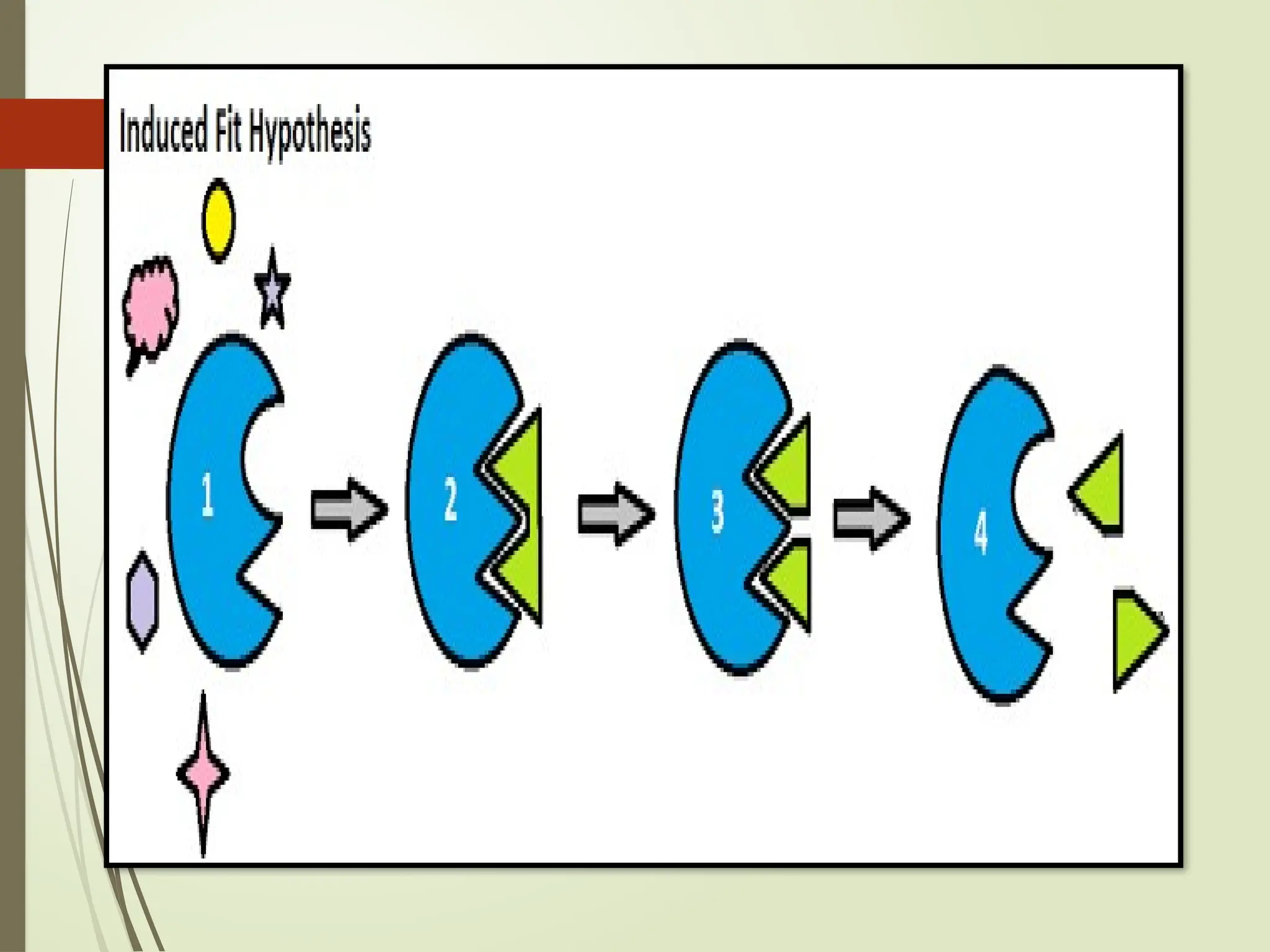 ppt metabolisme, enzim dan cara kerja enzim | PPTX
