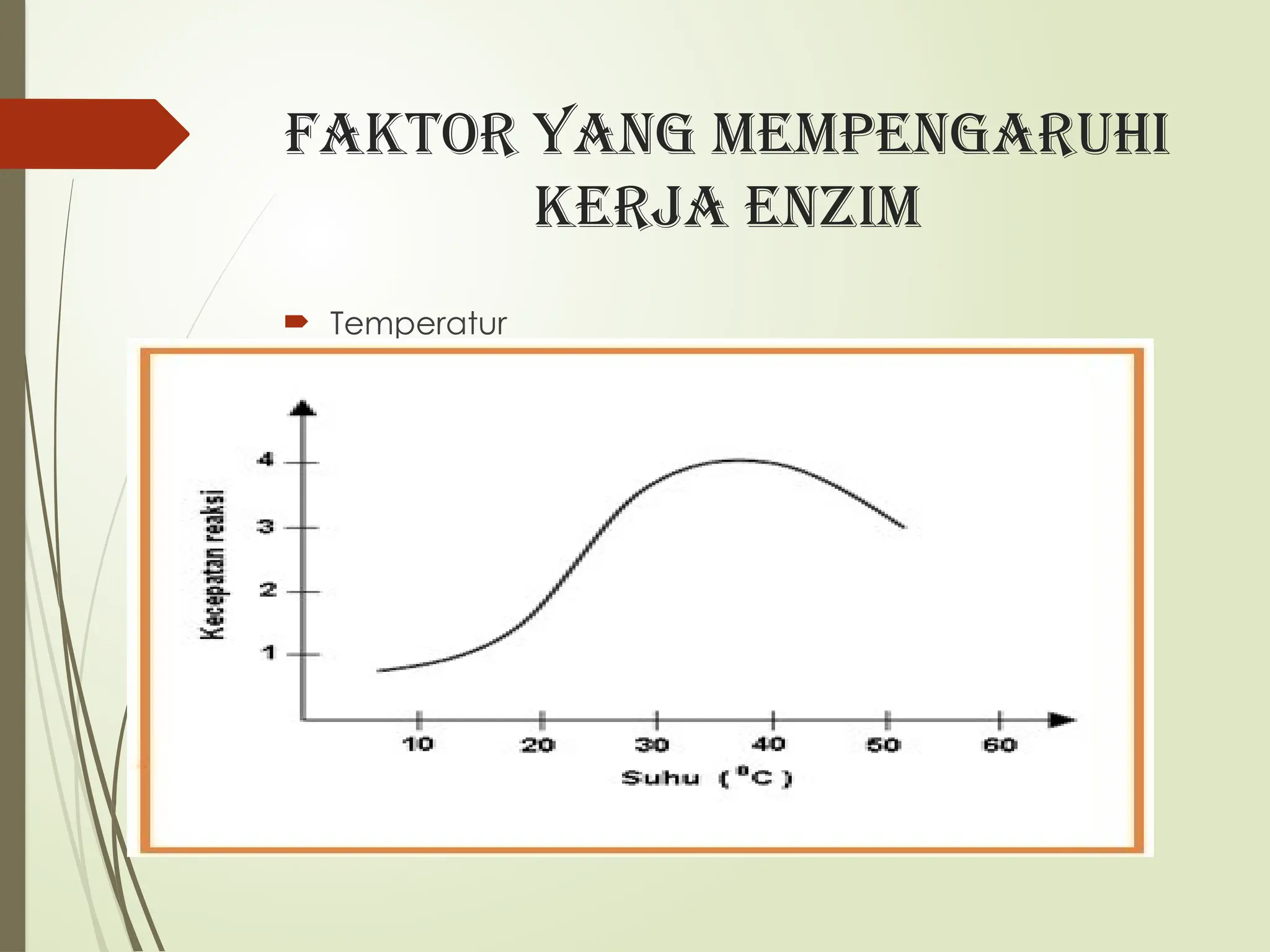 ppt metabolisme, enzim dan cara kerja enzim | PPTX