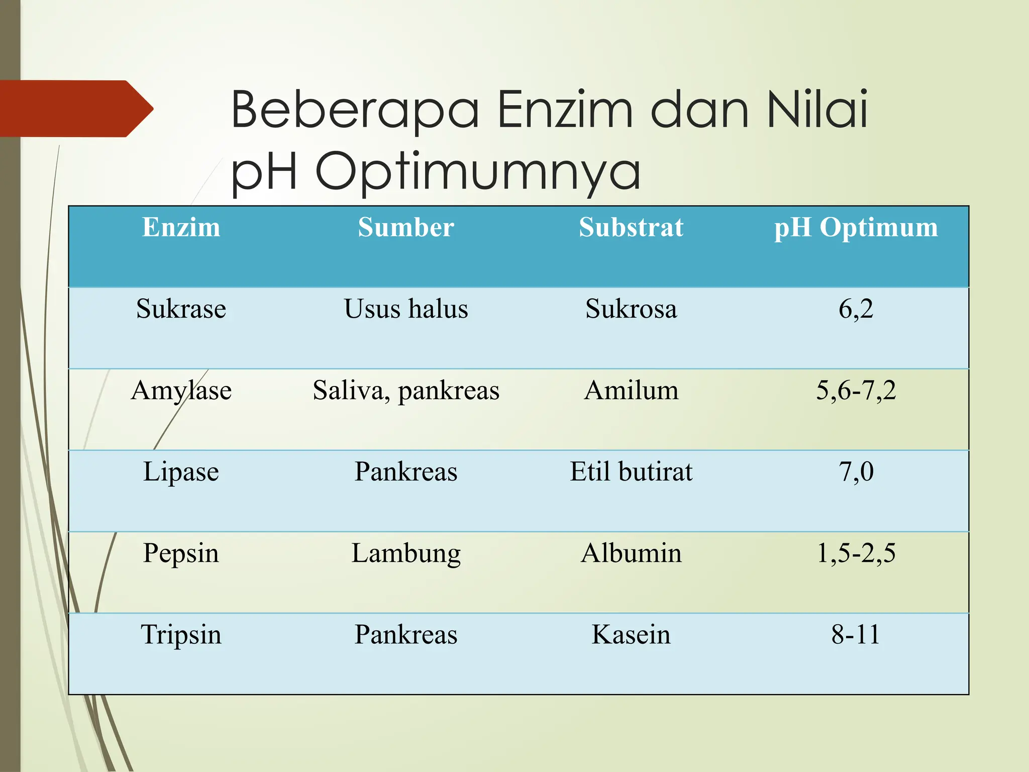 ppt metabolisme, enzim dan cara kerja enzim | PPTX