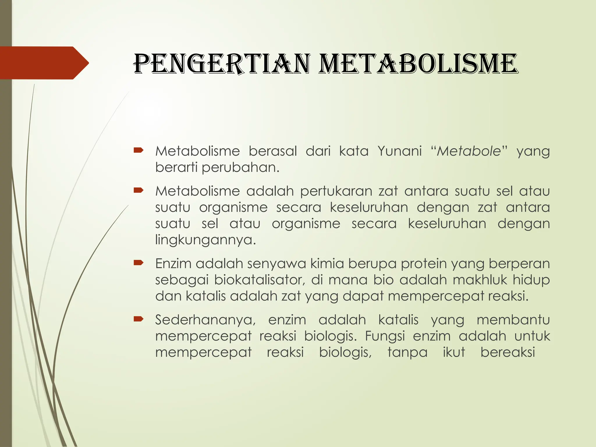 ppt metabolisme, enzim dan cara kerja enzim | PPTX