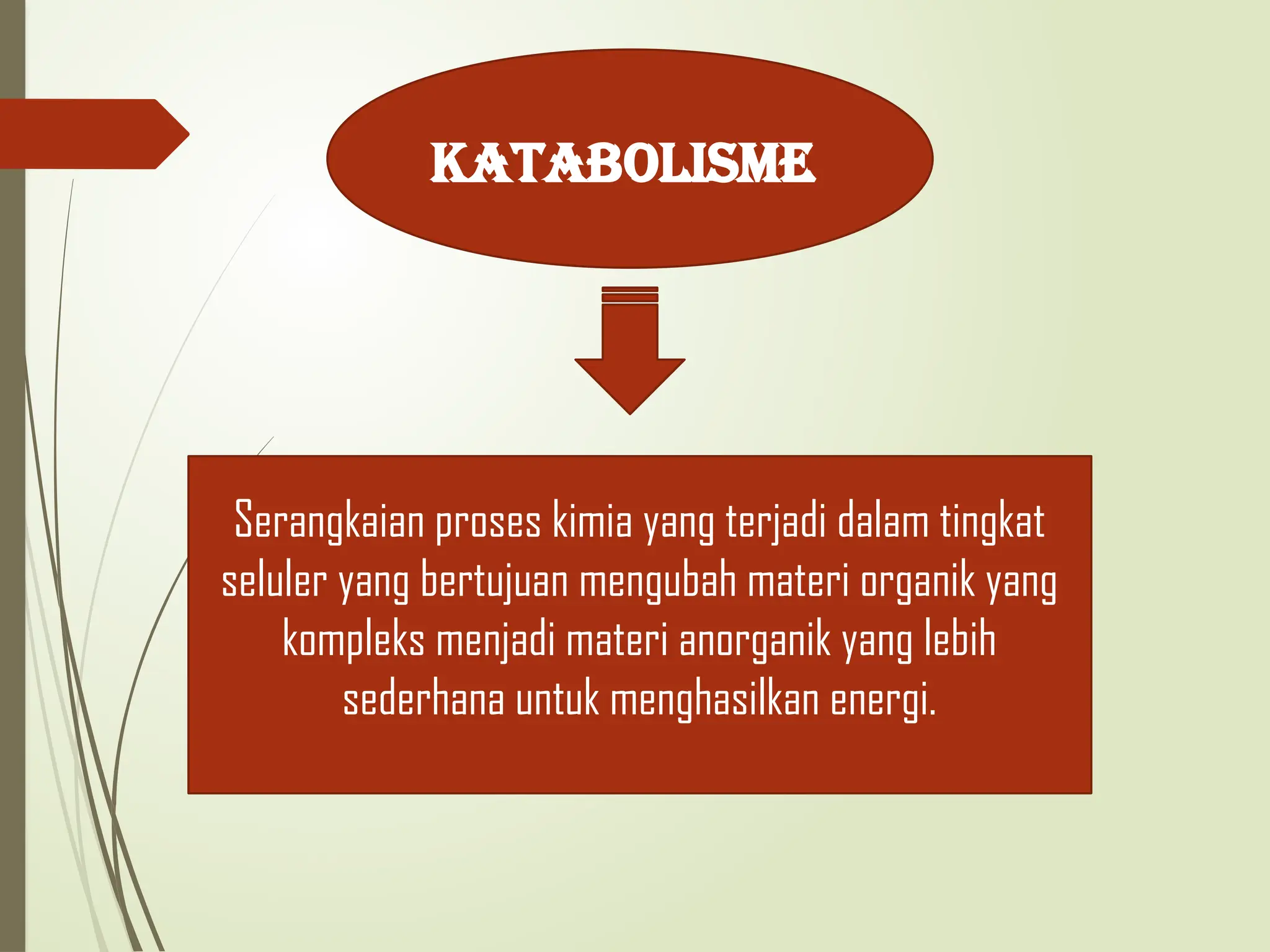 ppt metabolisme, enzim dan cara kerja enzim | PPTX