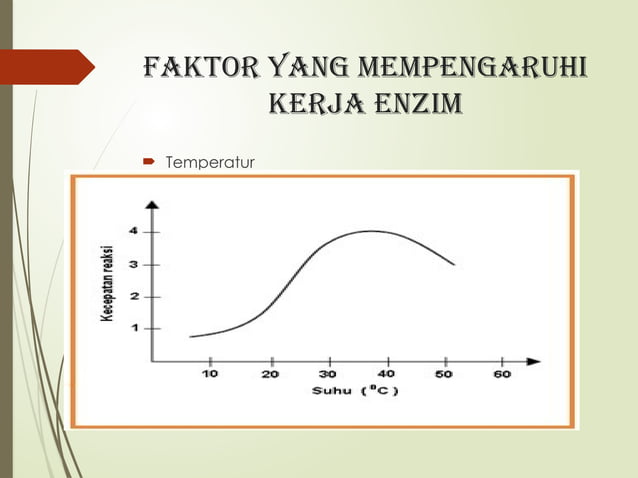 ppt metabolisme, enzim dan cara kerja enzim | PPTX