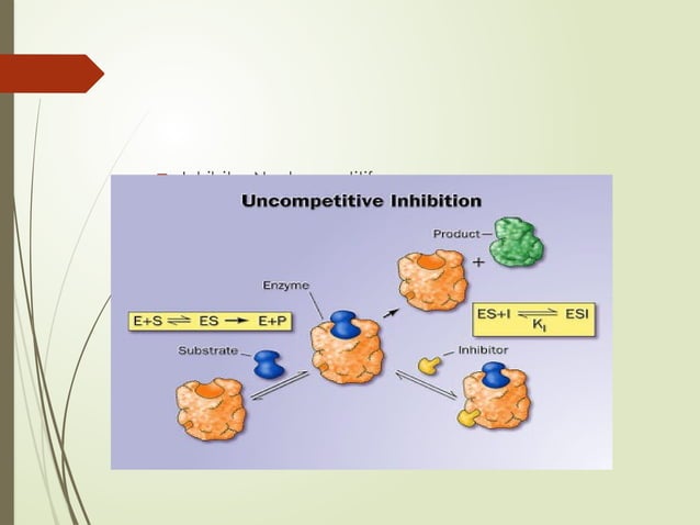 ppt metabolisme, enzim dan cara kerja enzim | PPTX
